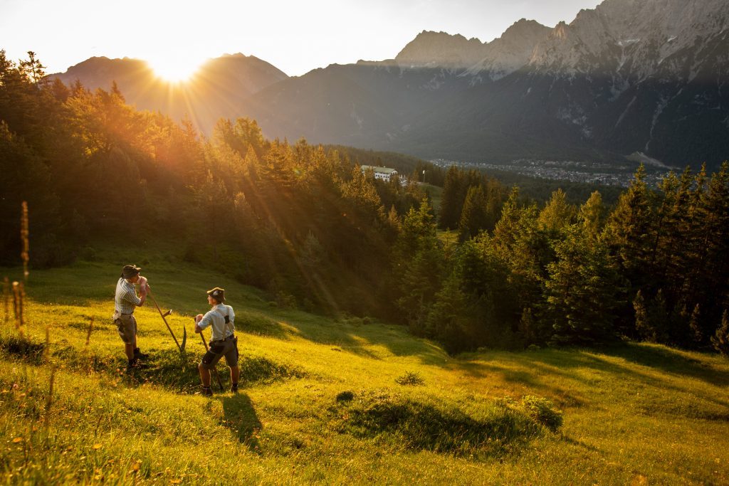 Blühende Landschaften - Bayern Tourismus Marketing GmbH